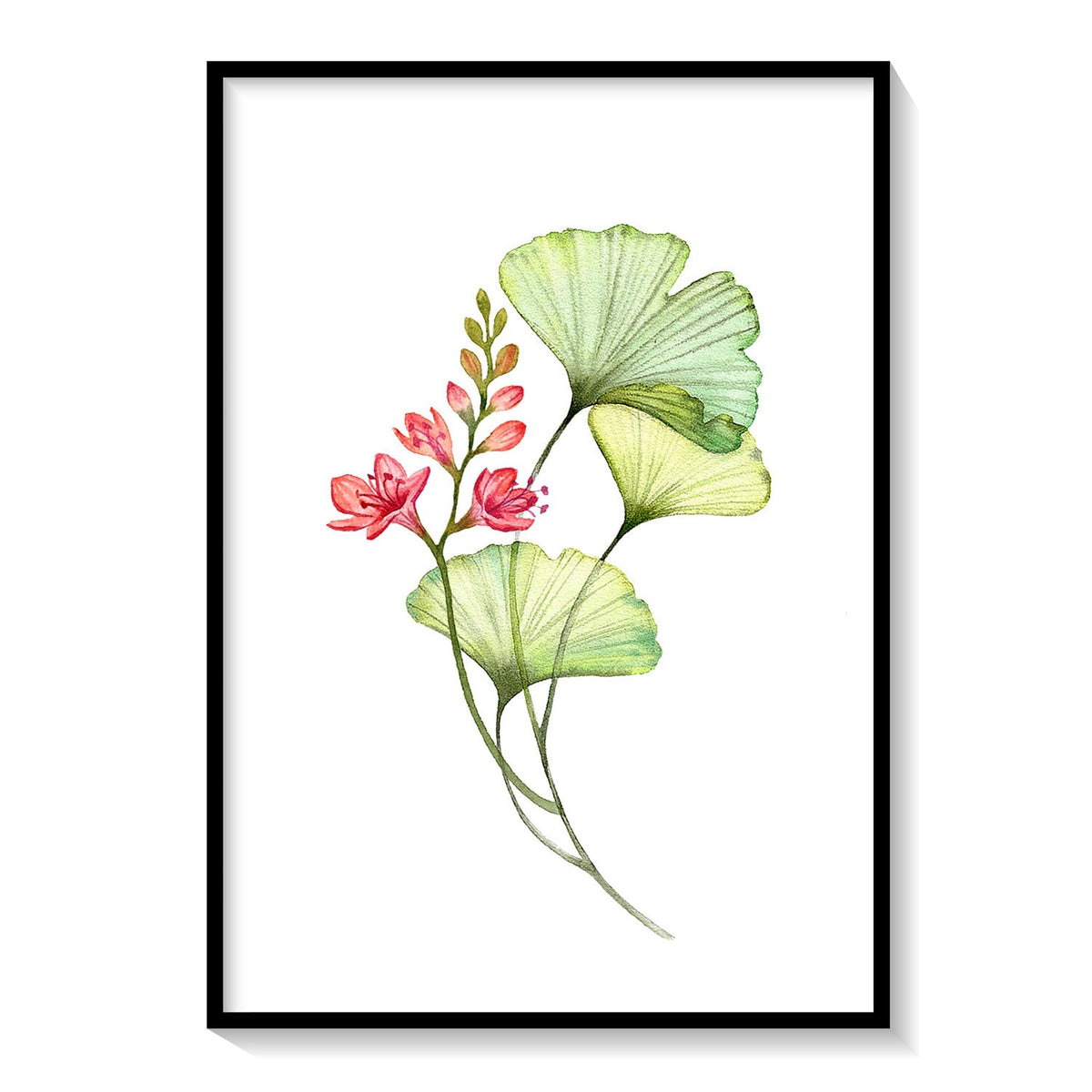 X-Ray Watercolor Poppy Pink Art 3: Buy Flower Paintings & Botanical Art Online – Dessine Art